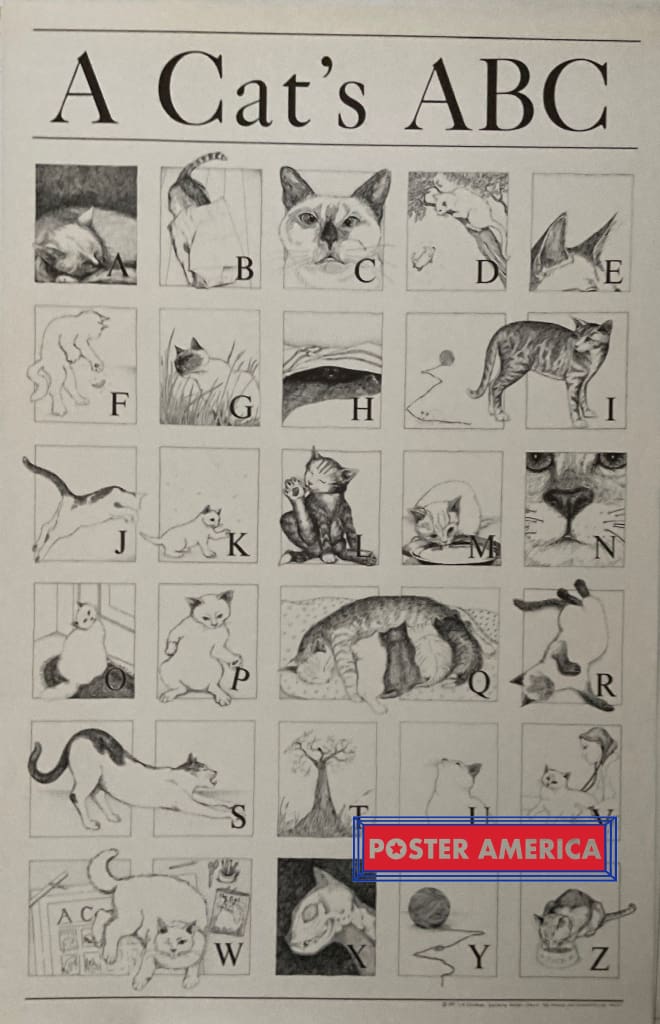 A Cat’s ABC Vintage Black & White Art Poster 21.5 x 33 – PosterAmerica