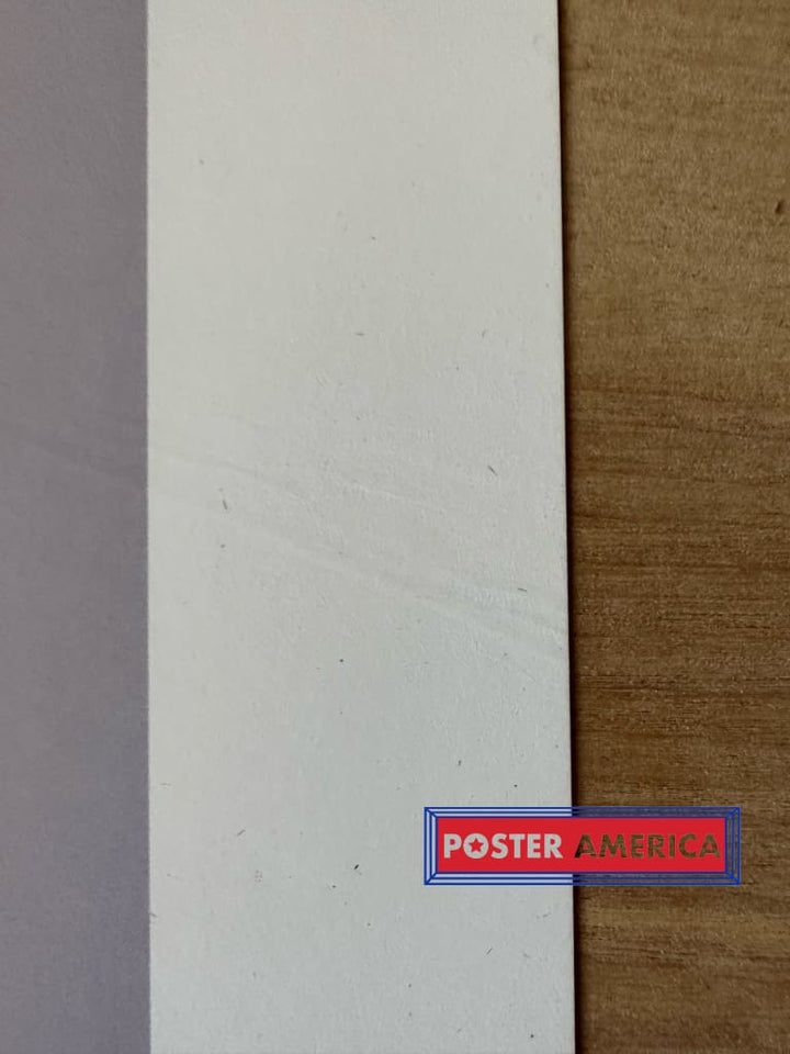 Allium by Angela Easterling Vintage 2002 Photography Art Poster 19.75 ...