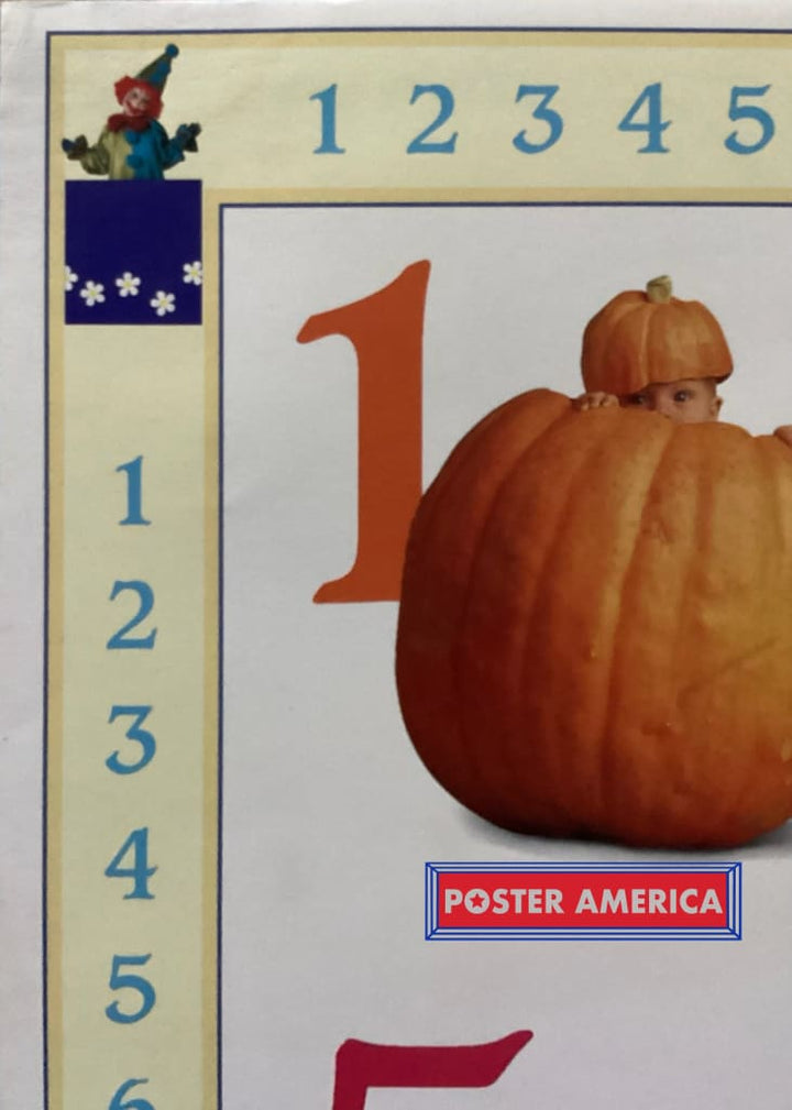 Anne Geddes Alphabet Poster with Baby Pictures Poster 24 x 36 ...