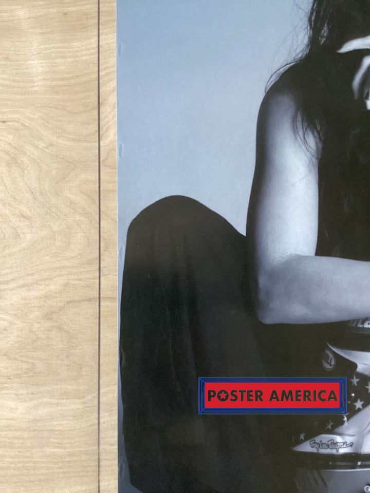 Danica Patrick Official Indy Racing League Poster 22.5 x 34 – PosterAmerica