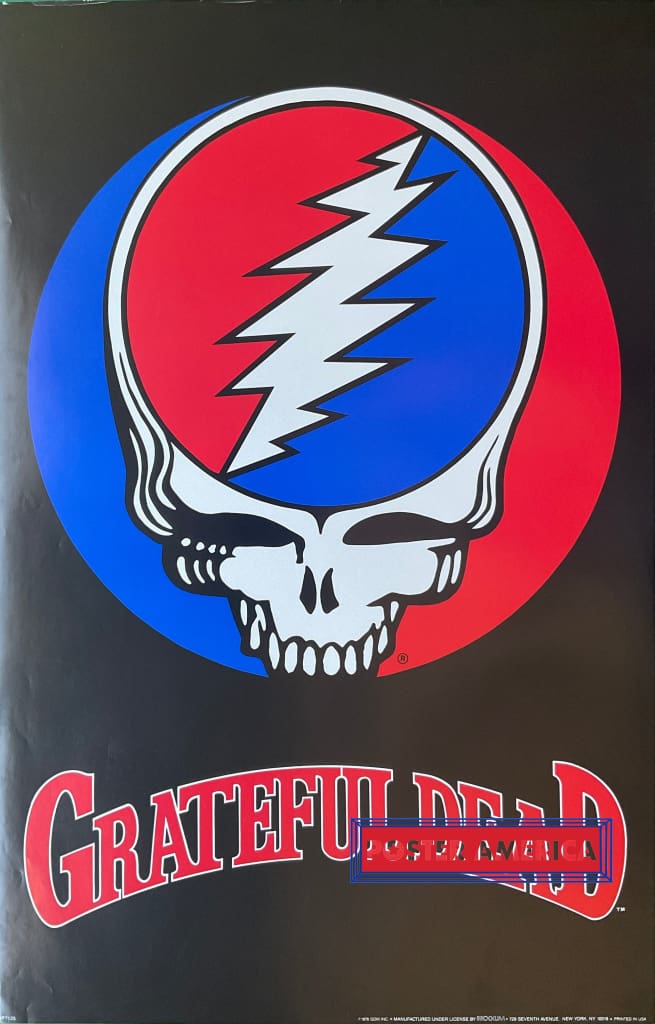 Grateful Dead Steal Your Face Logo Poster 22 x 34.5 – PosterAmerica