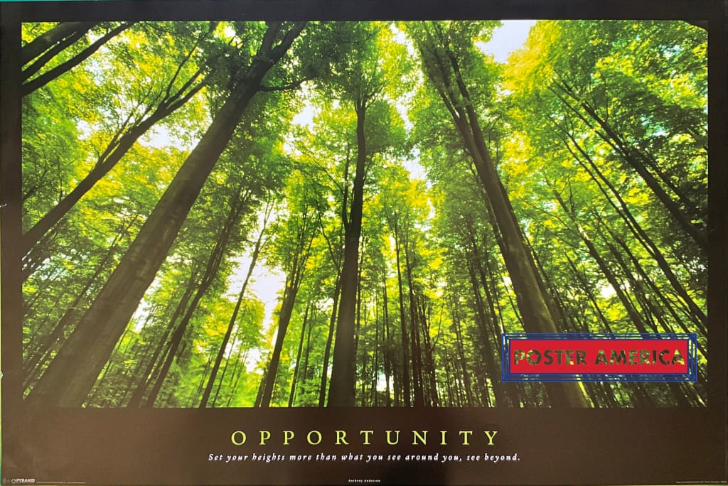 Opportunity Inspirational Scenic Photography Poster 24 x 36 – PosterAmerica
