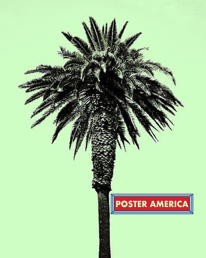 Palm Tree 1996 by Erik Asla Poster Print 18 x 22 – PosterAmerica