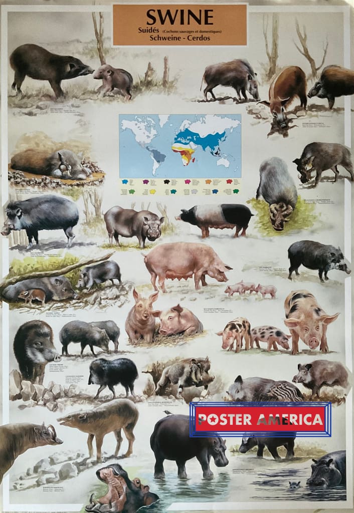 Swine Of The World Vintage 1992 Poster 27 x 38.5 – PosterAmerica