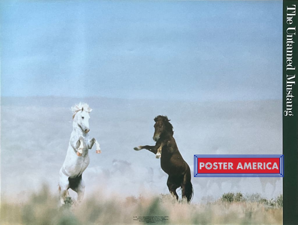 The Untamed Mustang Vintage Horse Photography Poster 19 x 25 ...