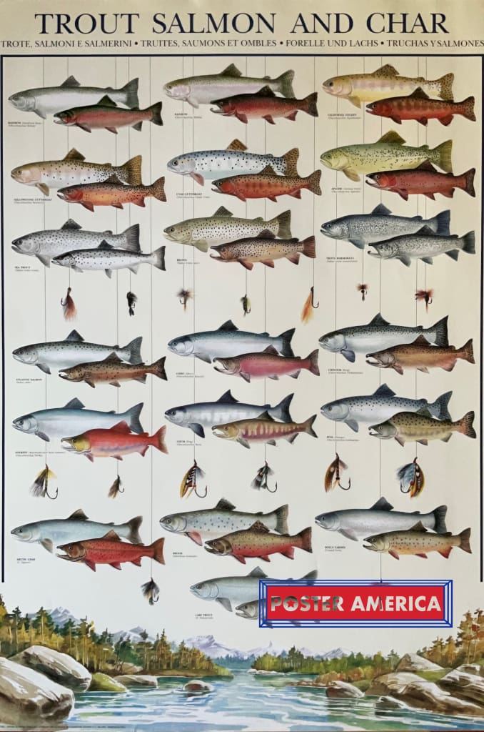 Trout Salmon and Char Vintage Hobby Poster 27 x 39 – PosterAmerica