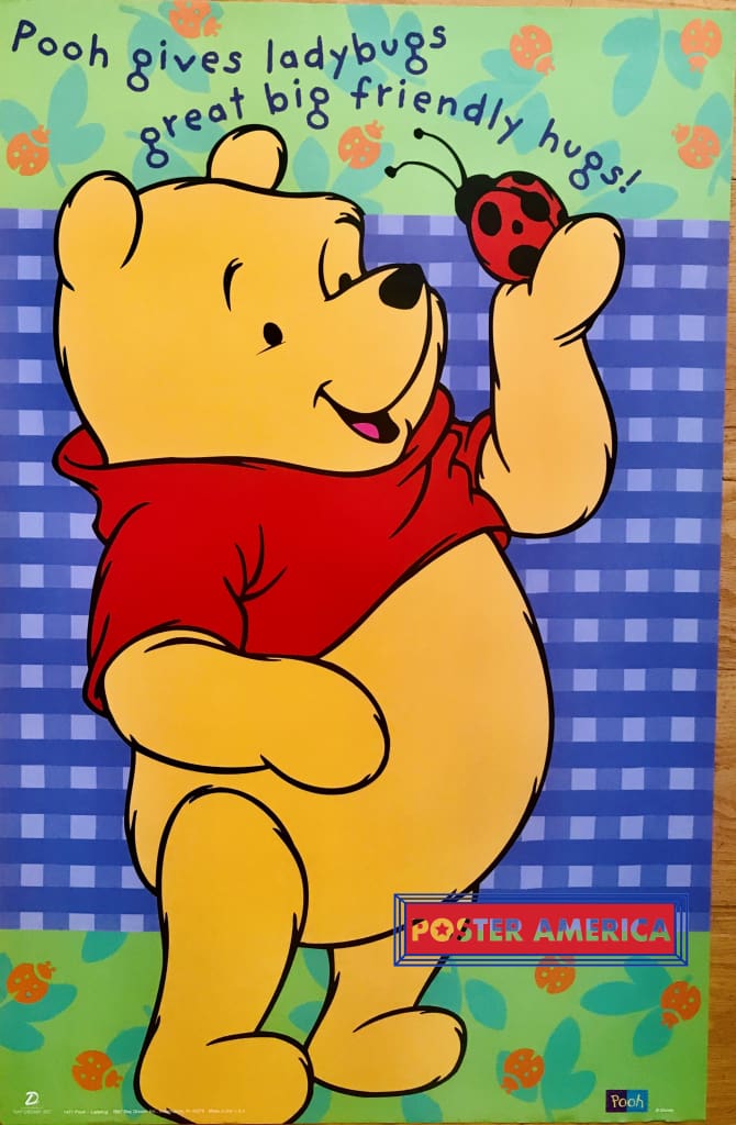 Ladybugs Movie Poster